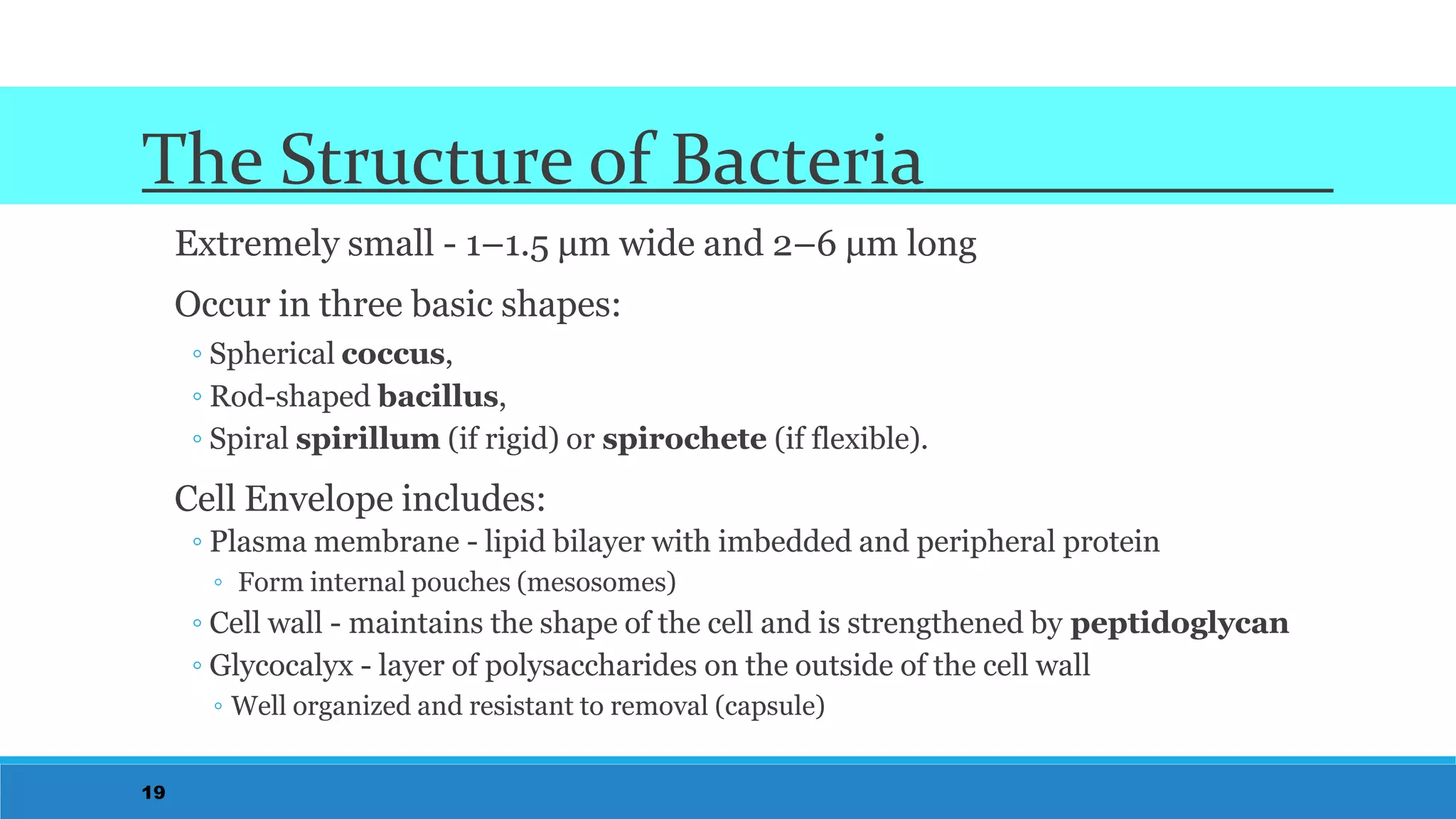 Lesson 3 CELLS (1).pptx