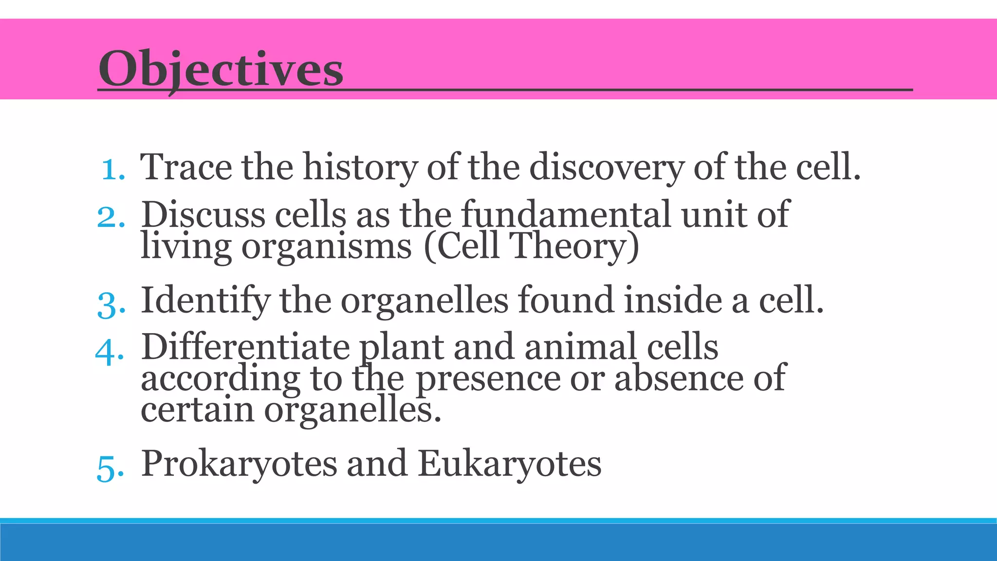 Lesson 3 CELLS (1).pptx