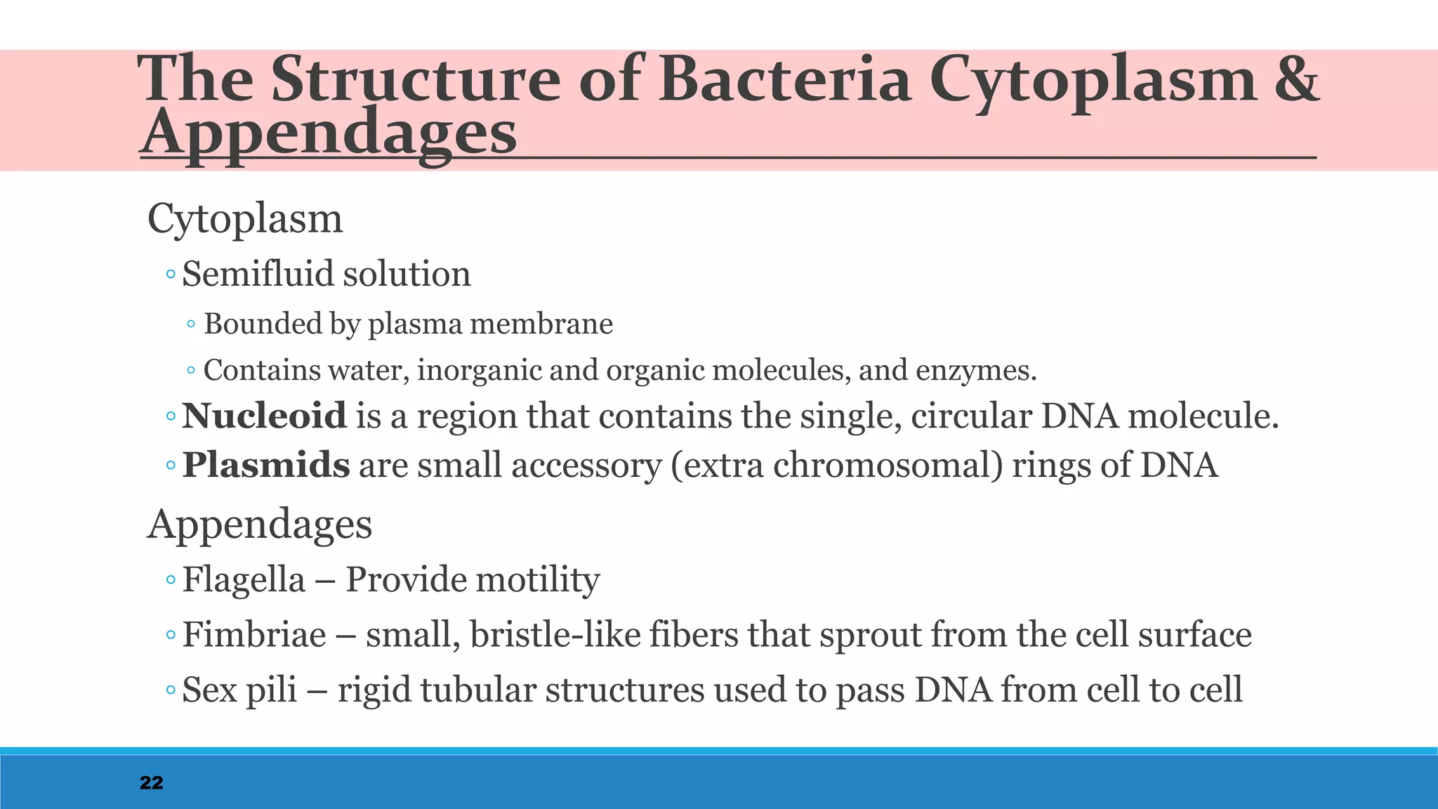 Lesson 3 CELLS (1).pptx