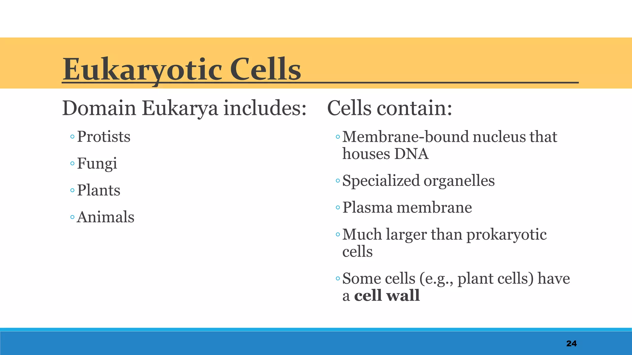 Lesson 3 CELLS (1).pptx