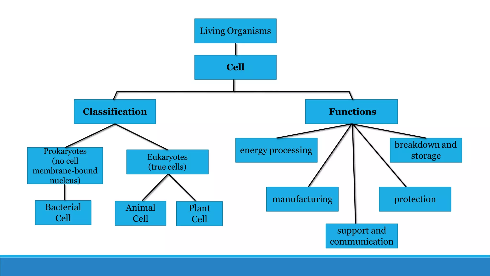 Lesson 3 CELLS (1).pptx