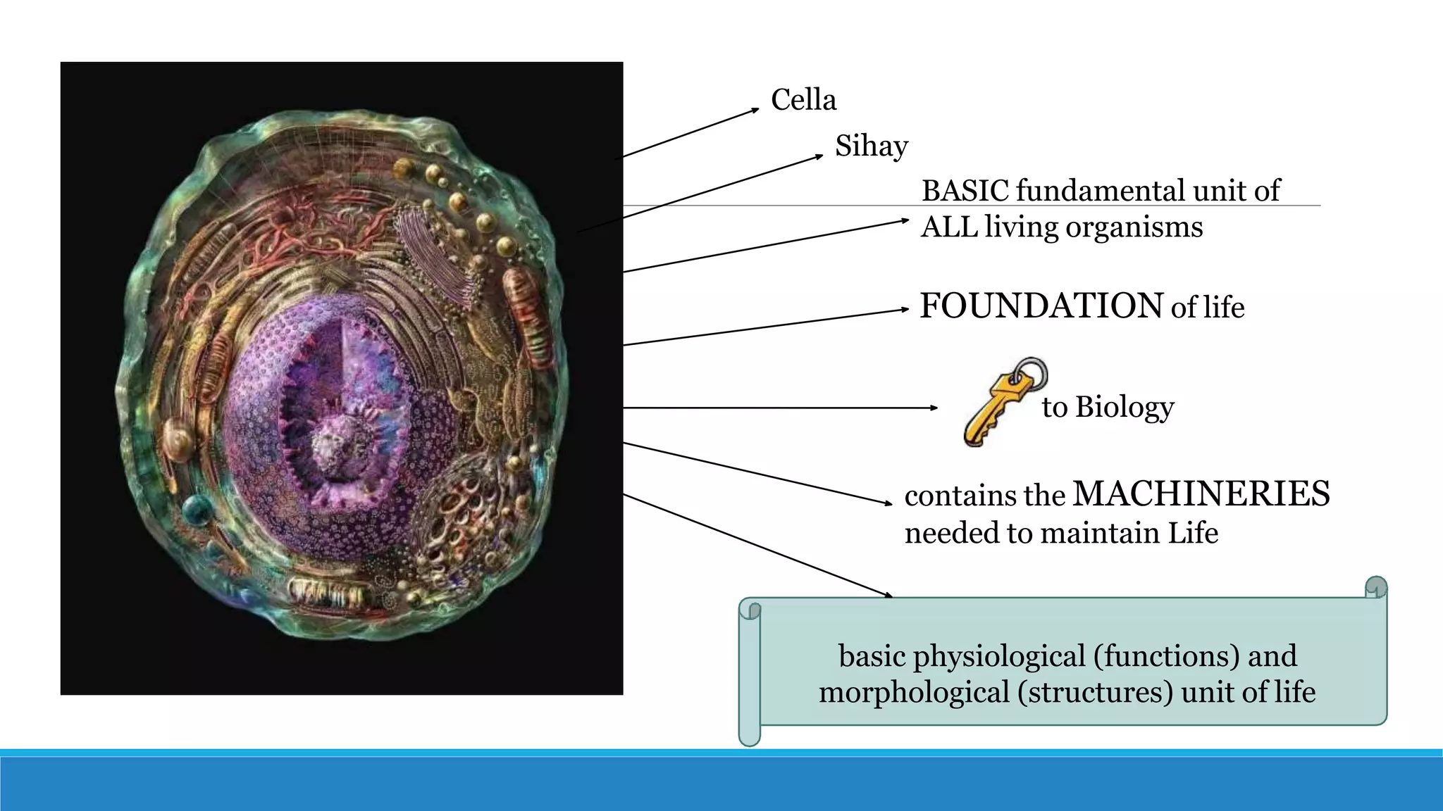Lesson 3 CELLS (1).pptx