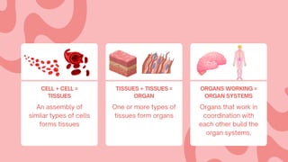 Lesson 3-Cell types in the HumanBody.pdf