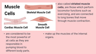 Lesson 3-Cell types in the HumanBody.pdf