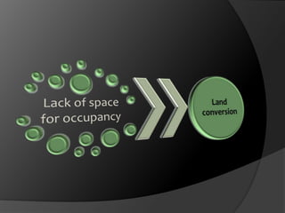 Lesson 3 (environmental problems in asia) | PPTX