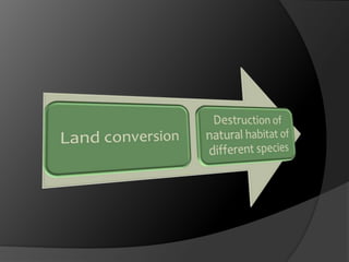 Lesson 3 (environmental problems in asia) | PPTX