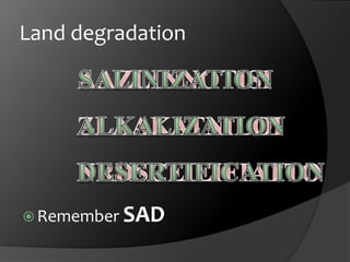 Lesson 3 (environmental problems in asia) | PPTX