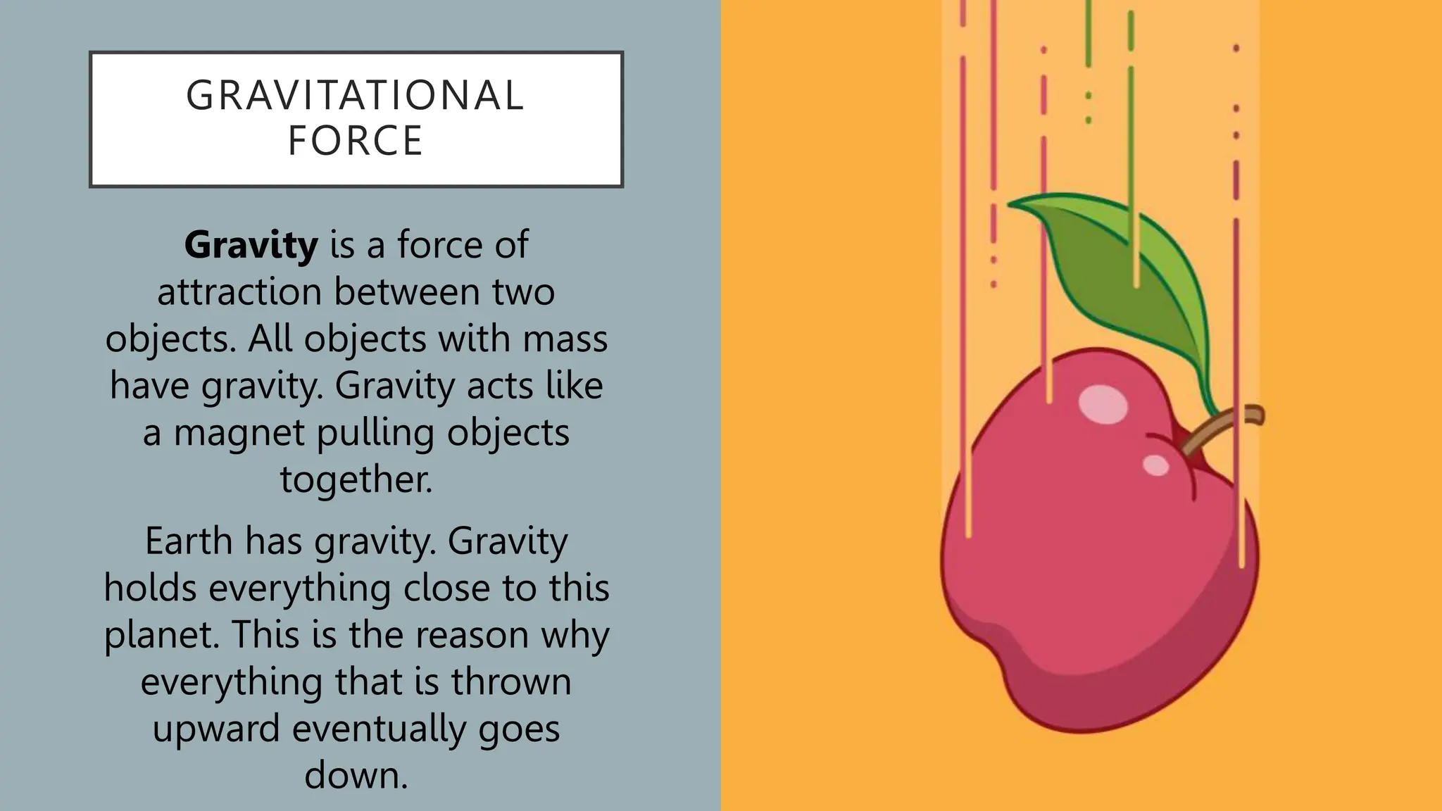 Lesson 3 Force-and-Motion.pptx
