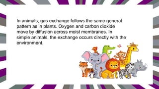 Lesson 3_ Gas Exchange.pptx