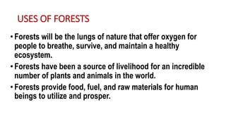 lesson 3 GO AROUND THE FOREST STD 4.pptx