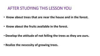 lesson 3 GO AROUND THE FOREST STD 4.pptx