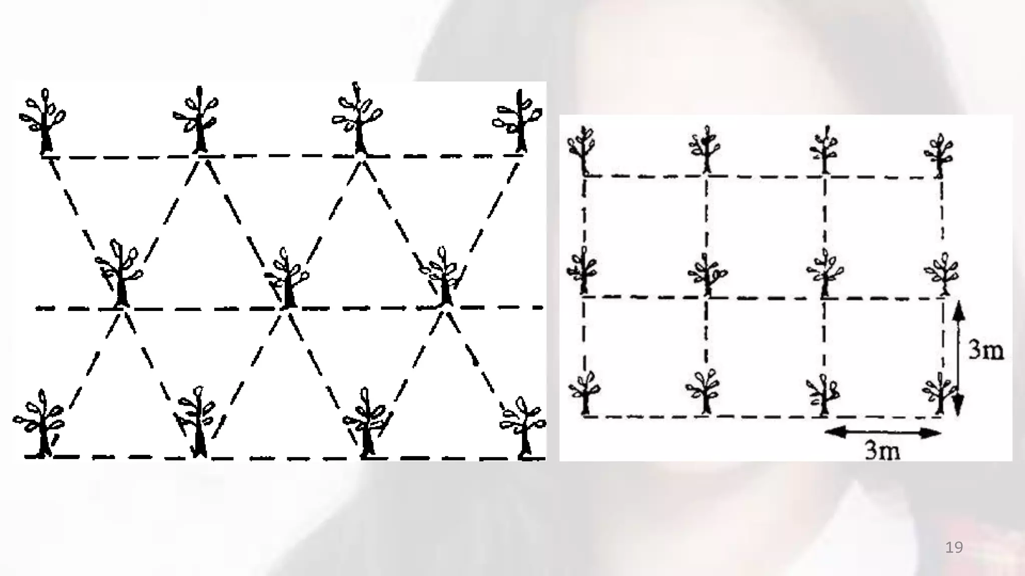 Agri-Crop Production - Lesson 3 interpret plans and drawings | PDF