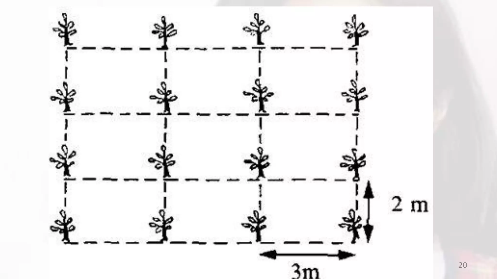 Agri-Crop Production - Lesson 3 interpret plans and drawings | PDF