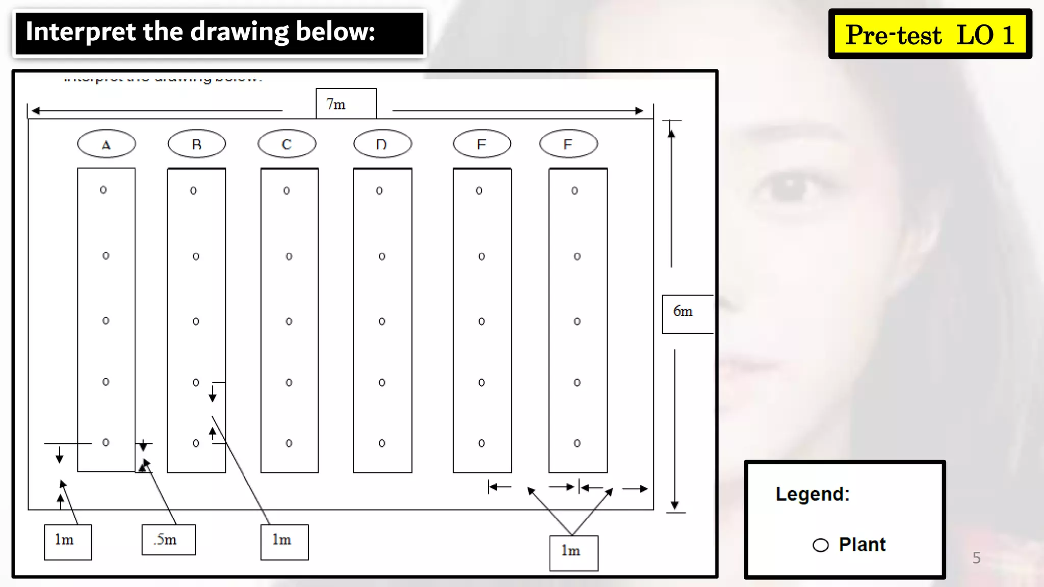 Agri-Crop Production - Lesson 3 interpret plans and drawings | PDF
