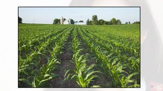 Agri-Crop Production - Lesson 3 interpret plans and drawings | PDF