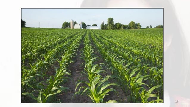 Agri-Crop Production - Lesson 3 interpret plans and drawings | PDF