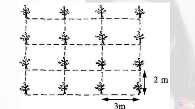 Agri-Crop Production - Lesson 3 interpret plans and drawings | PDF