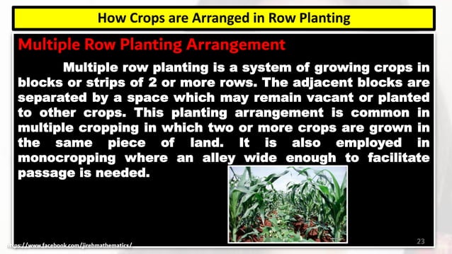 Agri-Crop Production - Lesson 3 interpret plans and drawings | PDF