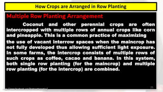 Agri-Crop Production - Lesson 3 interpret plans and drawings | PDF