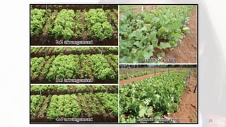 Agri-Crop Production - Lesson 3 interpret plans and drawings | PDF