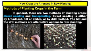 Agri-Crop Production - Lesson 3 interpret plans and drawings | PDF