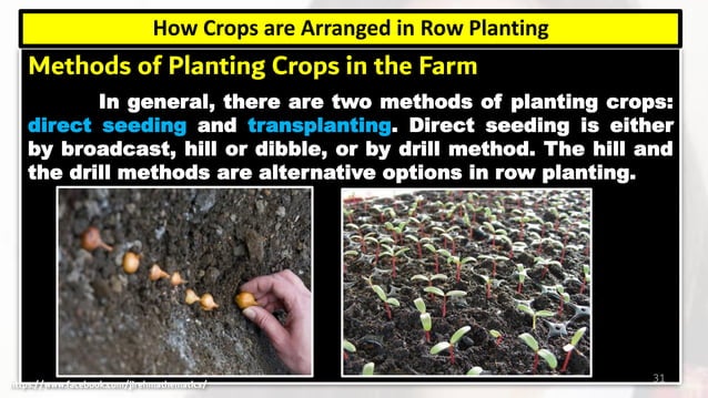 Agri-Crop Production - Lesson 3 interpret plans and drawings | PDF