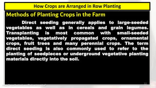 Agri-Crop Production - Lesson 3 interpret plans and drawings | PDF