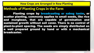 Agri-Crop Production - Lesson 3 interpret plans and drawings | PDF
