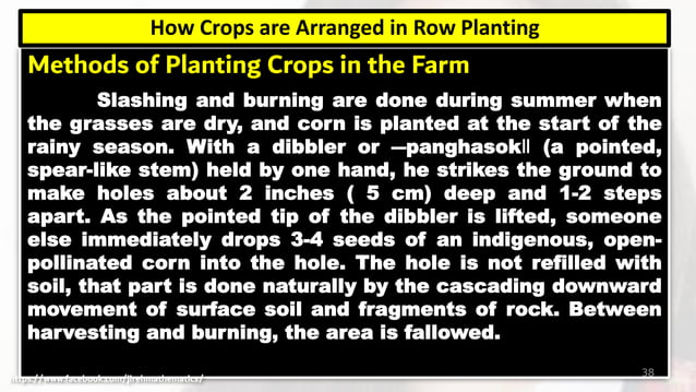 Agri-Crop Production - Lesson 3 interpret plans and drawings | PDF