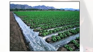 Agri-Crop Production - Lesson 3 interpret plans and drawings | PDF