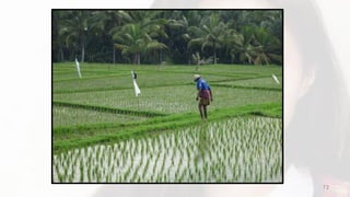 Agri-Crop Production - Lesson 3 interpret plans and drawings | PDF