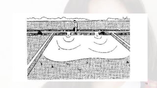 Agri-Crop Production - Lesson 3 interpret plans and drawings | PDF