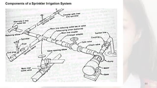 Agri-Crop Production - Lesson 3 interpret plans and drawings | PDF
