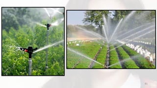 Agri-Crop Production - Lesson 3 interpret plans and drawings | PDF