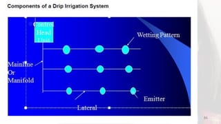 Agri-Crop Production - Lesson 3 interpret plans and drawings | PDF