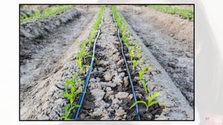 Agri-Crop Production - Lesson 3 interpret plans and drawings | PDF