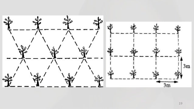 Agri-Crop Production - Lesson 3 interpret plans and drawings