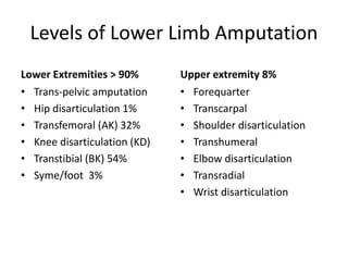 Lesson 3 Levels of Amputation.ppt