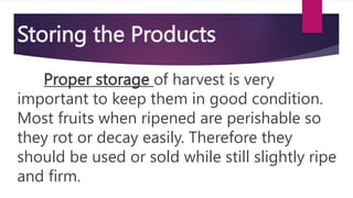 LESSON 3 MARKET DEMANDS FOR FRUITS.pptx