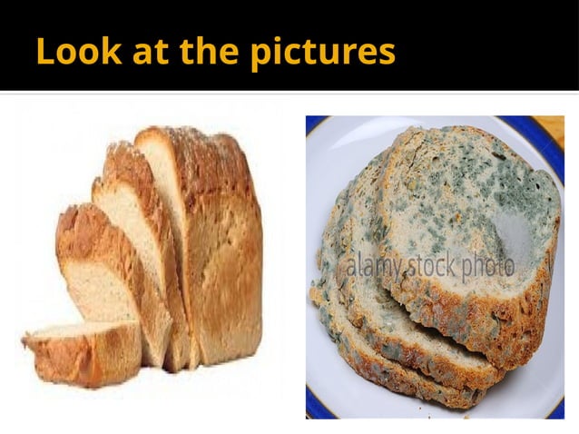 lesson 3 materials that undergo decay.pptx