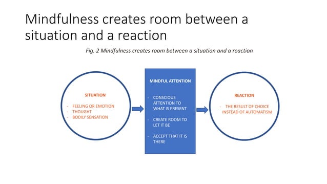 Lesson 3 module 2 mindful | PPT