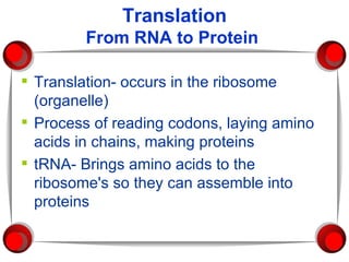 Lesson 3 module 8 how proteins are made 1 | PPT