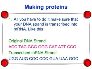 Lesson 3 module 8 how proteins are made 1 | PPT