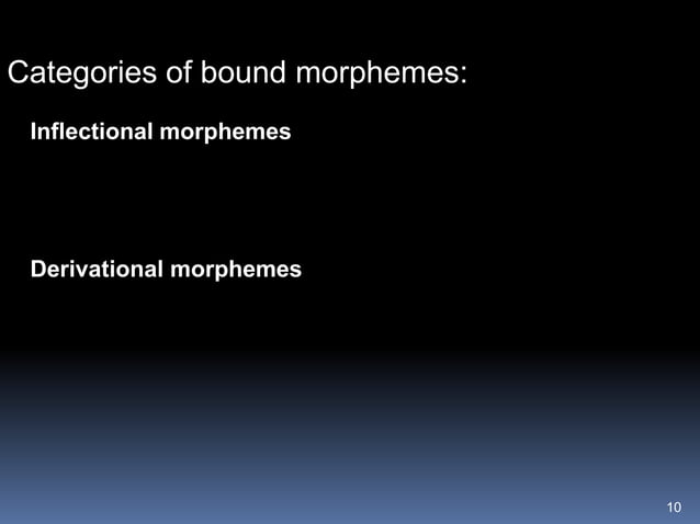 Morphology | PPT