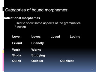 Morphology | PPT