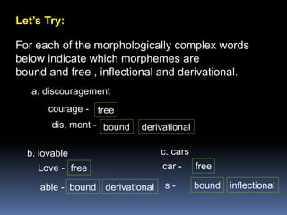 Morphology | PPT