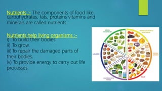 Lesson 3 nutrition in living organisms | PPTX