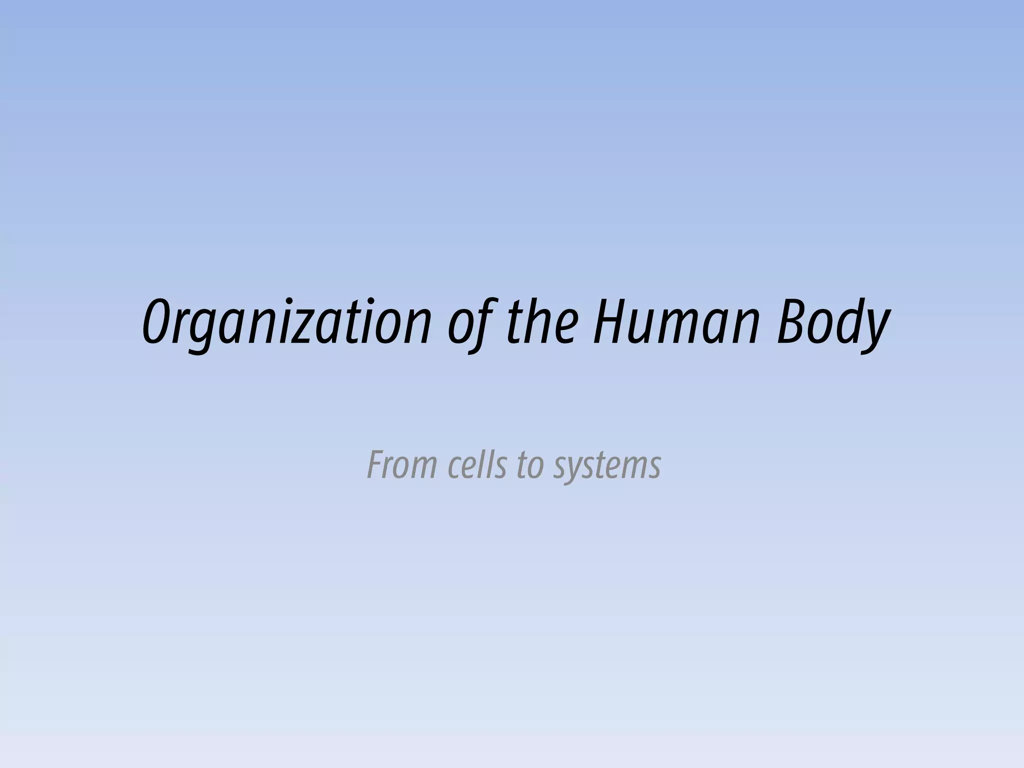 Lesson 3 organization of the human body | PDF | Bone and Joint ...