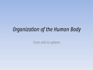 Lesson 3 organization of the human body | PDF