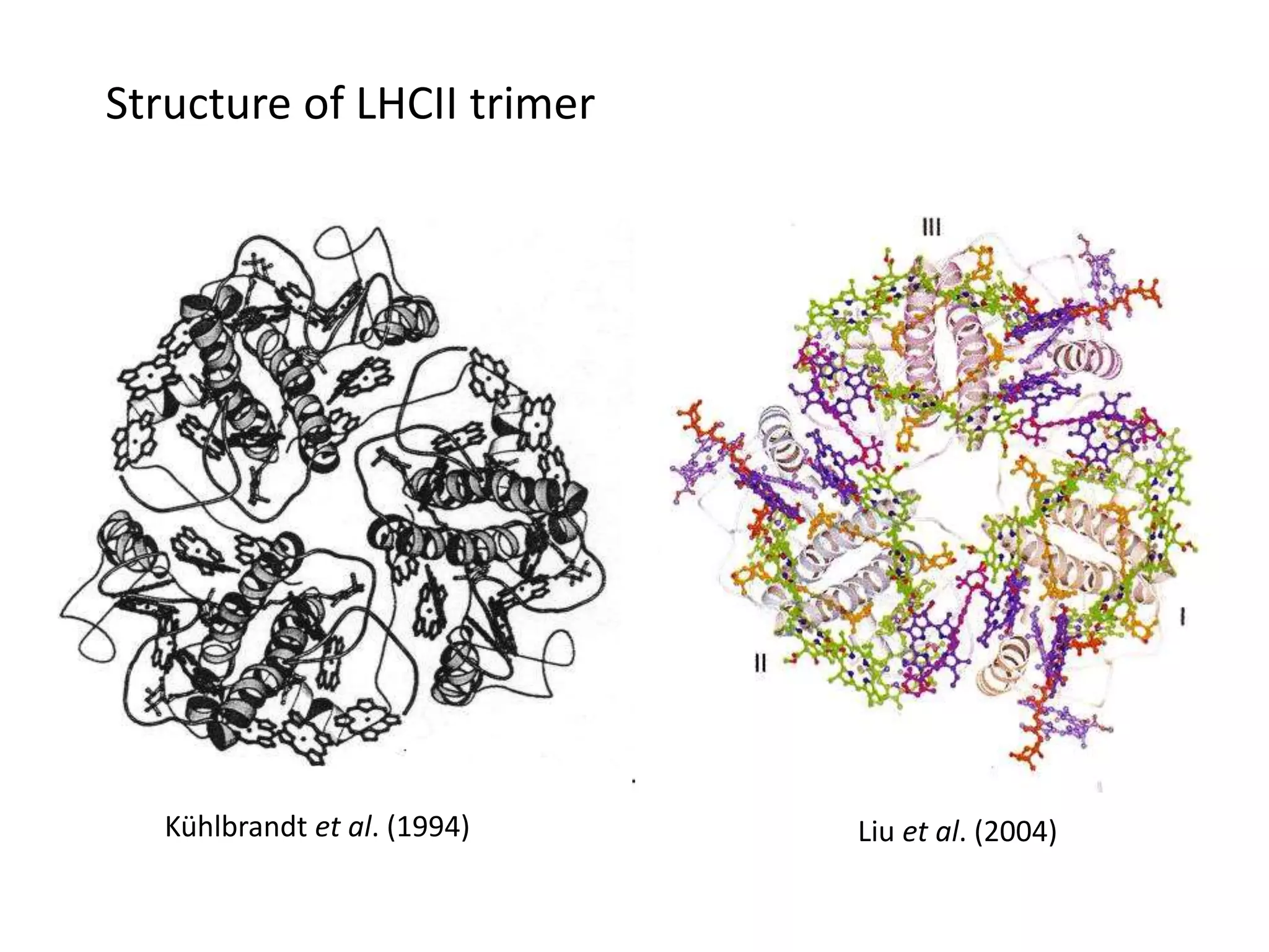 Lesson 3 photosynthetic pigment extraction | PPT
